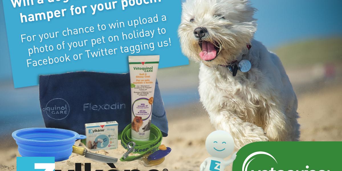 Holiday Hamper Competition - Winners | Vetoquinol