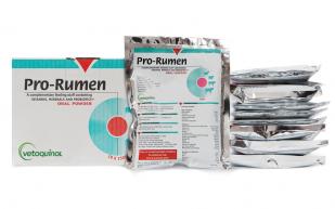 ProRumen | Vetoquinol